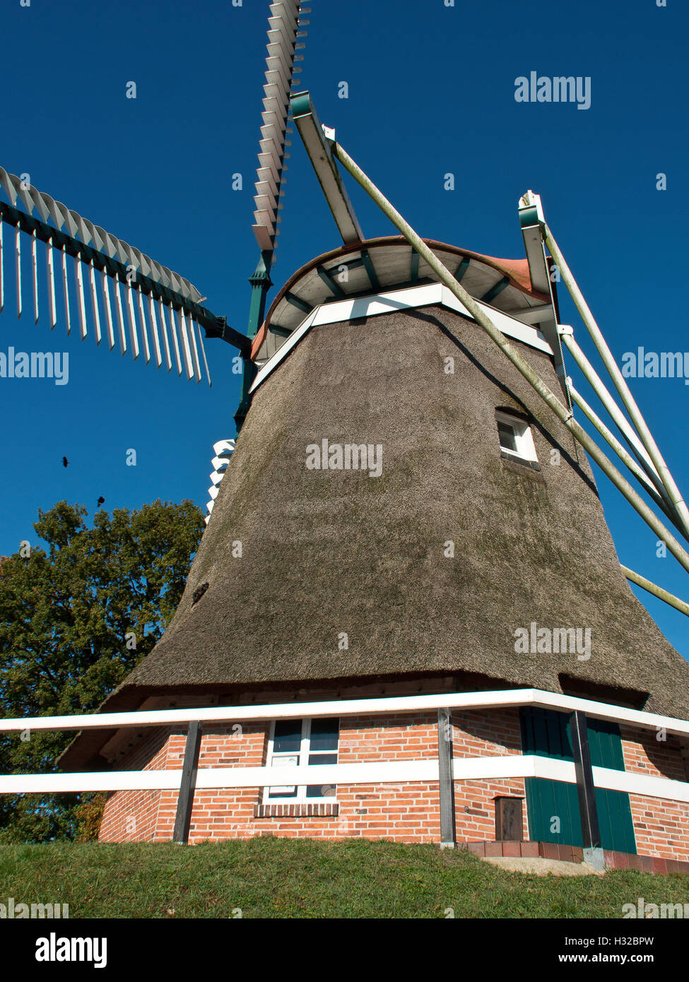 windmill in eastern frisia Stock Photo - Alamy