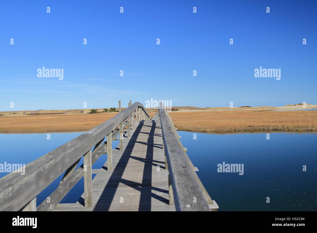 Boardwalk crossing swamp at Sandwich MA Cape Cod Stock Photo - Alamy