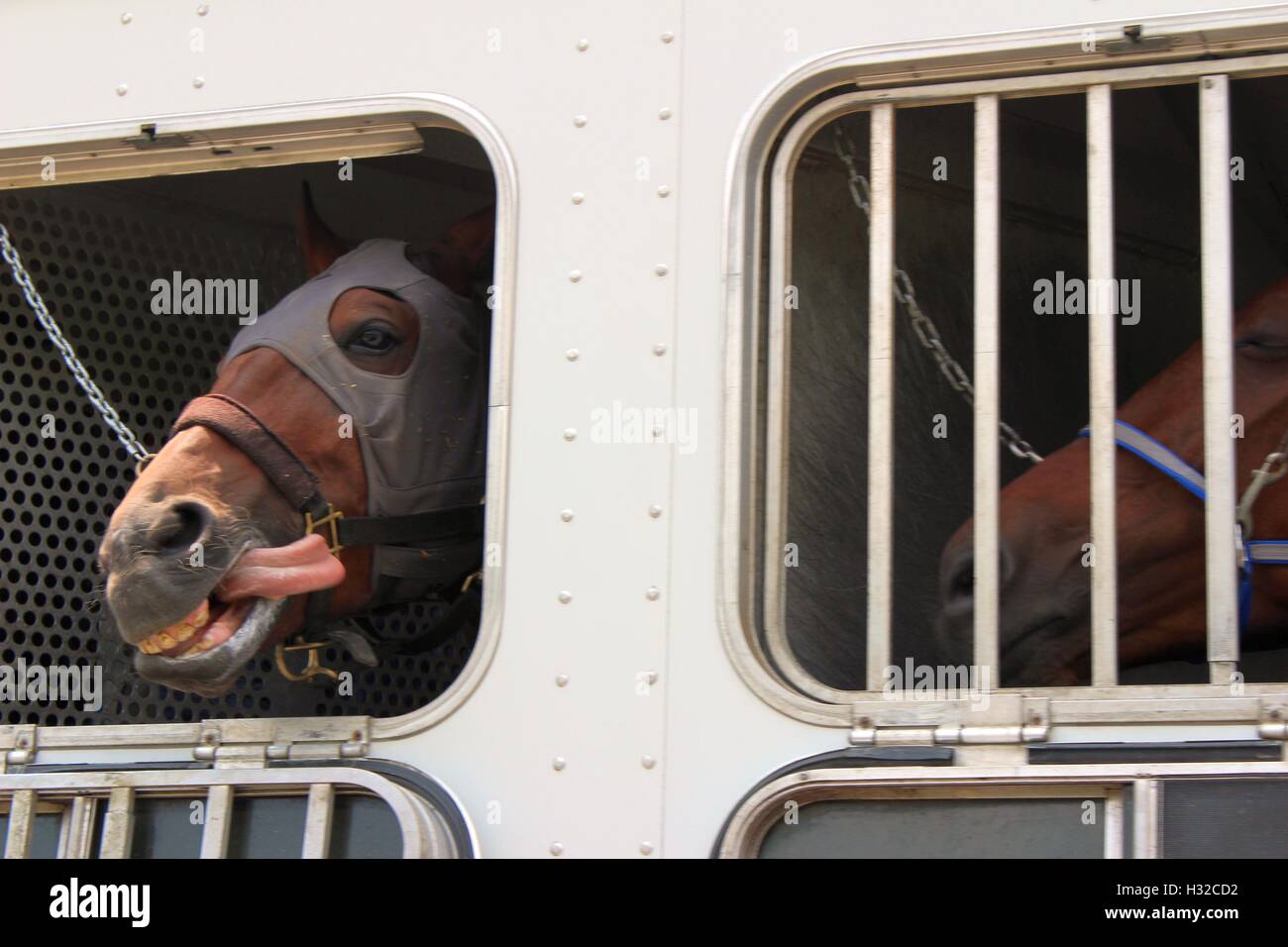 Plllbt hi-res stock photography and images - Alamy