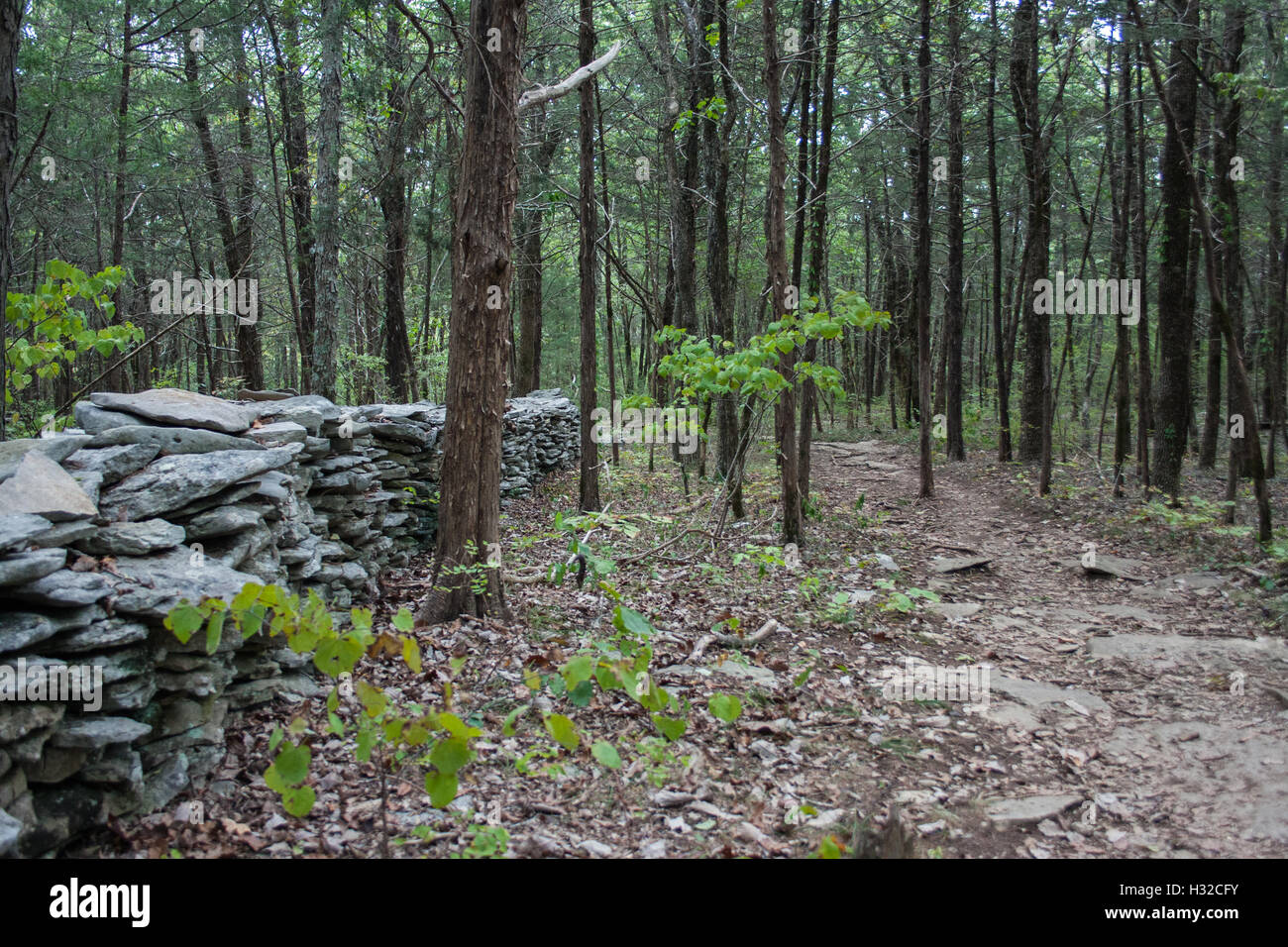 Stone trek hi-res stock photography and images - Alamy