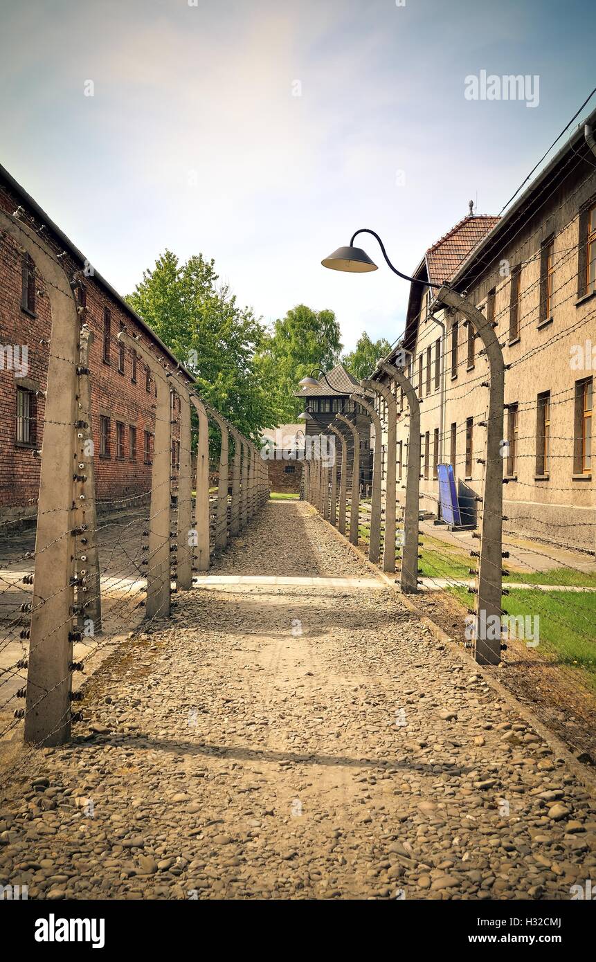 Auschwitz blocks hi-res stock photography and images - Alamy
