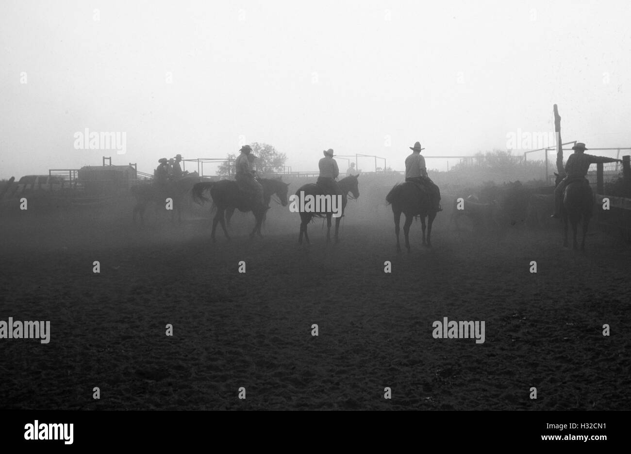 Ja ranch Black and White Stock Photos & Images - Alamy