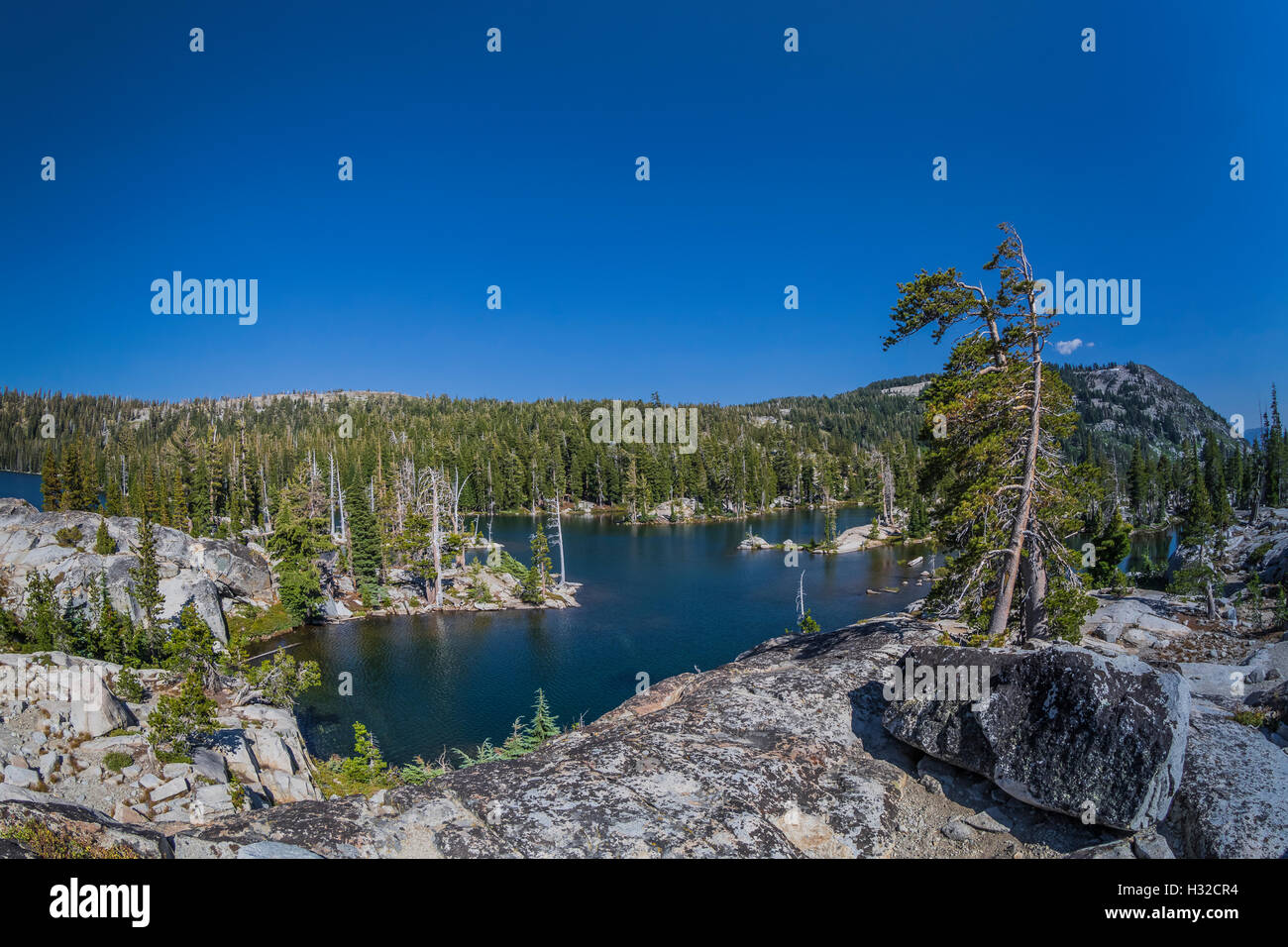 Landscape of granite, pines, and Sierra Junipers along Lake of the ...