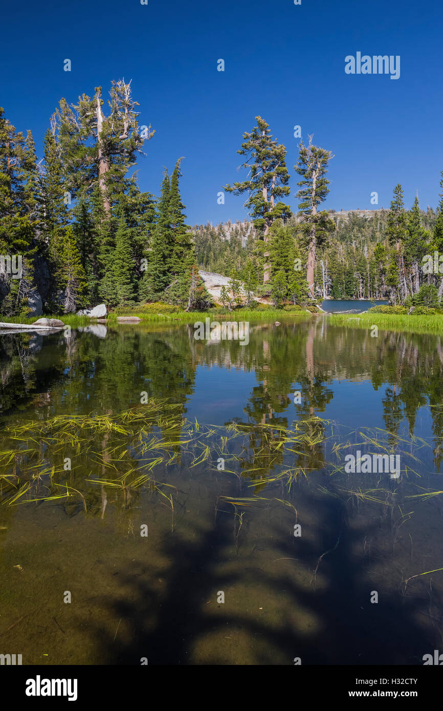 Shallow inlet along Lake of the Woods in the Desolation Wilderness ...