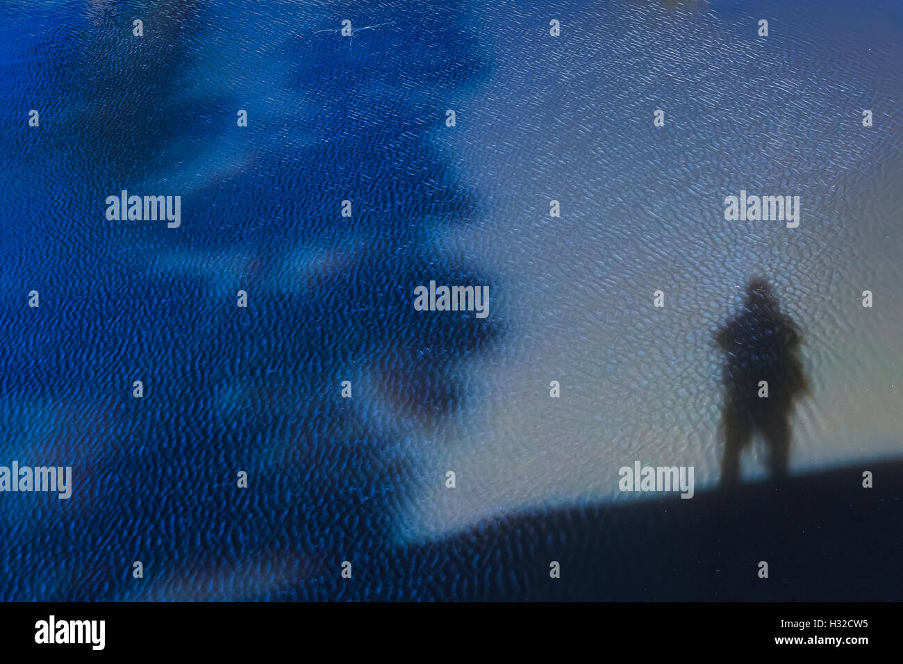 Photographer's shadow on Lake of the Woods in the Desolation Wilderness ...