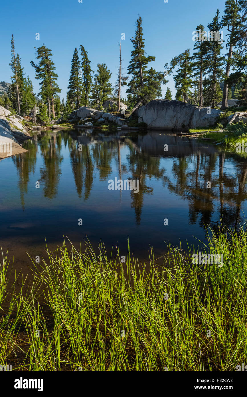 Landscape details of Lake of the Woods in the Desolation Wilderness ...