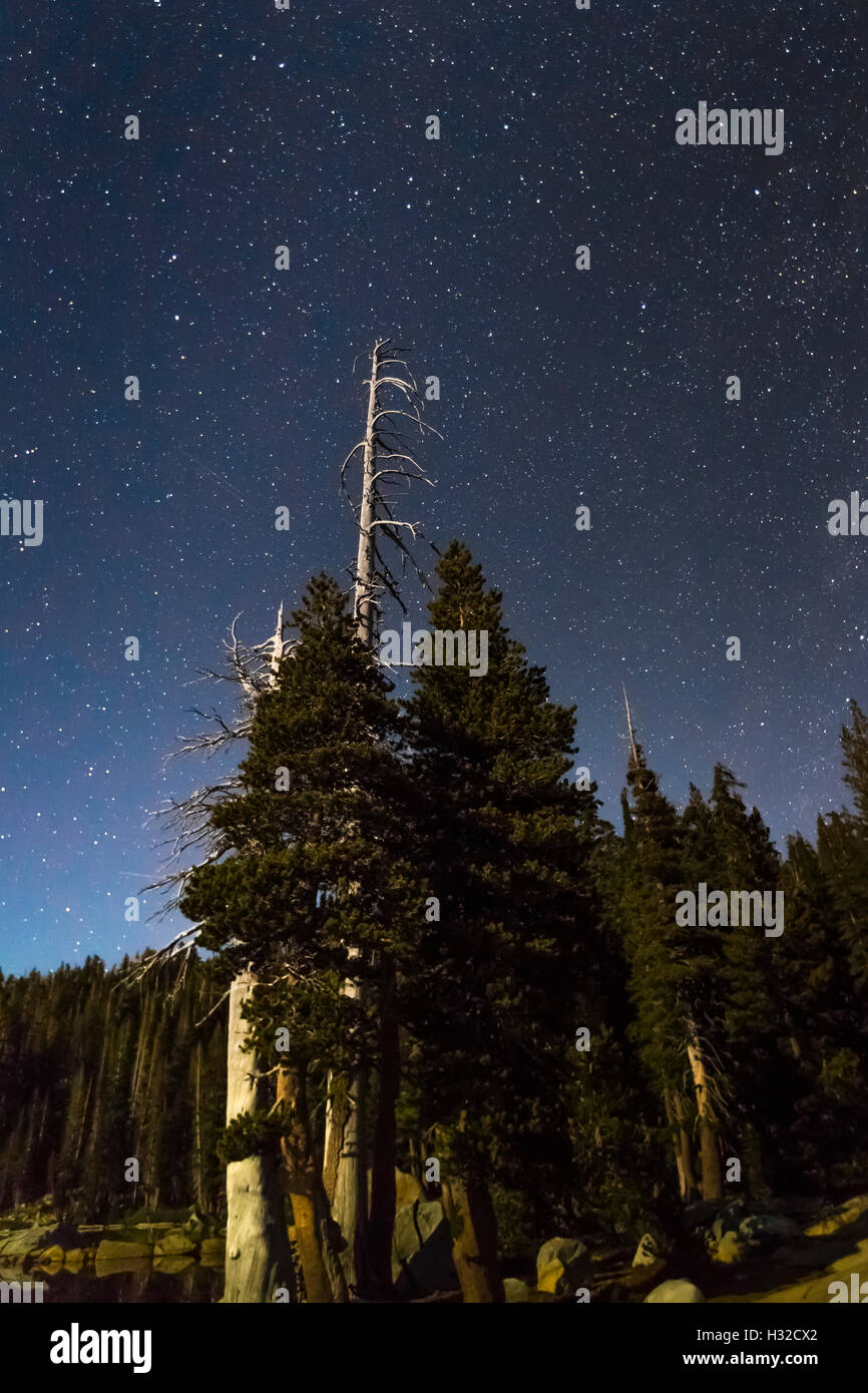 Stars over Lake of the Woods in the Desolation Wilderness, Eldorado ...
