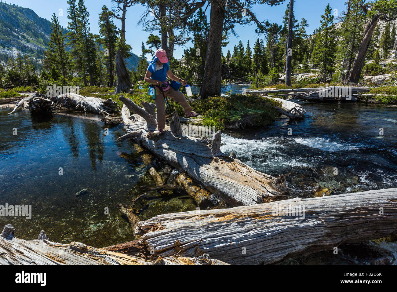 Log crossing stream hi-res stock photography and images - Alamy