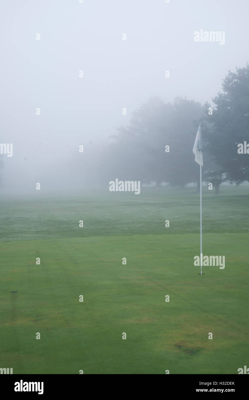 Green low visibility hi-res stock photography and images - Alamy