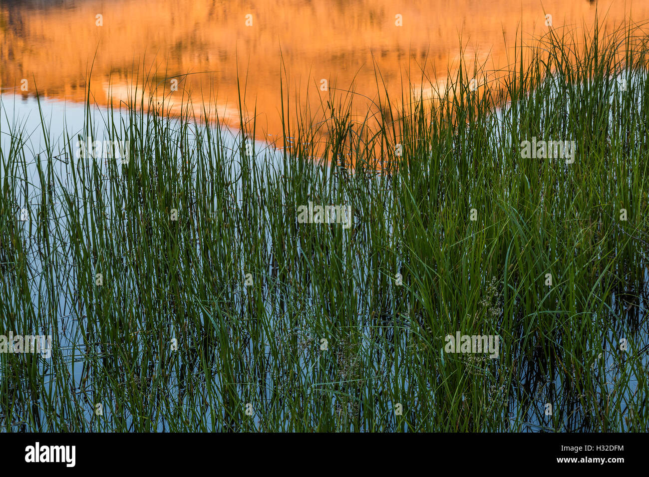 Reflection pyramid hi-res stock photography and images - Alamy