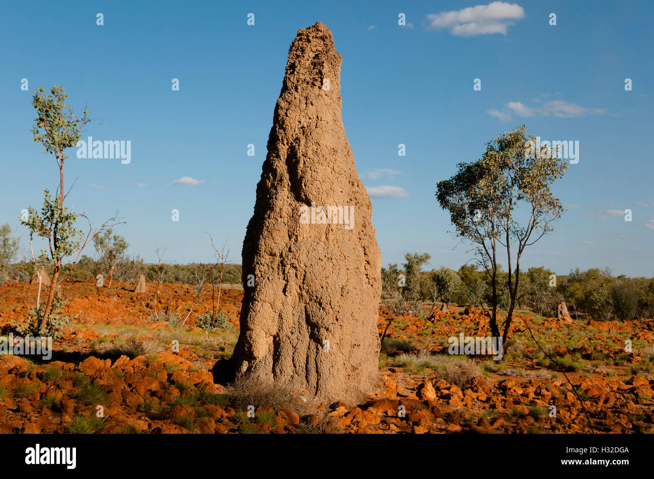 Anthill australia hi-res stock photography and images - Alamy