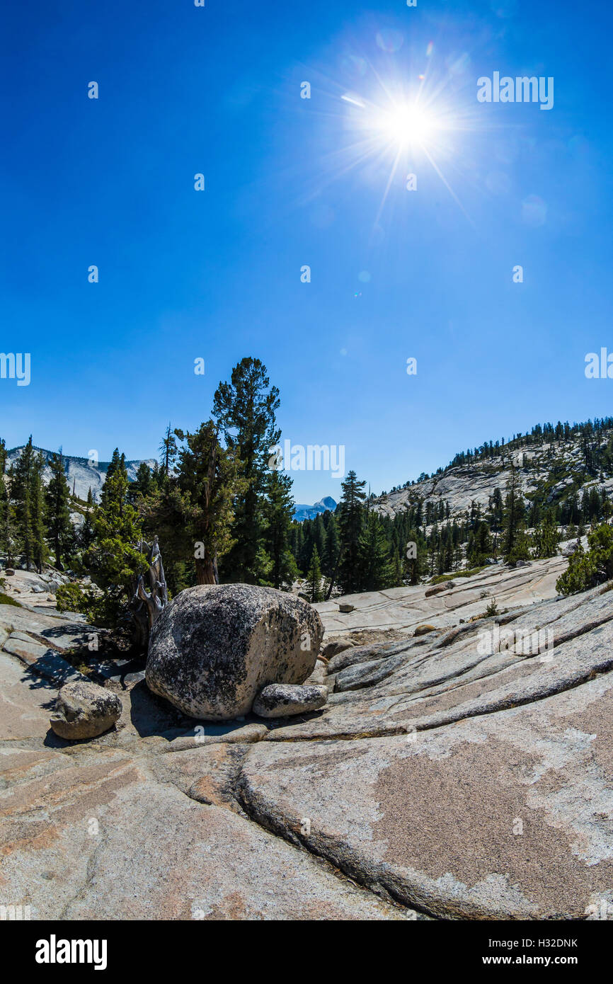 Glacial erratic boulders were melted long ago from a glacier, and left ...