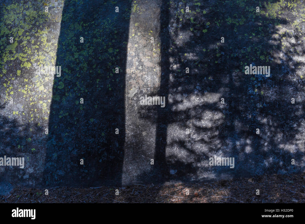 Tree shadows hi-res stock photography and images - Alamy