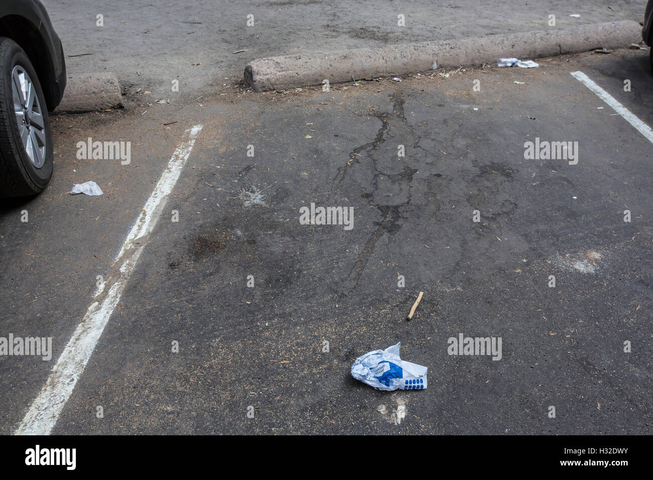 Litter in a parking lot in Yosemite Valley, Yosemite National Park ...