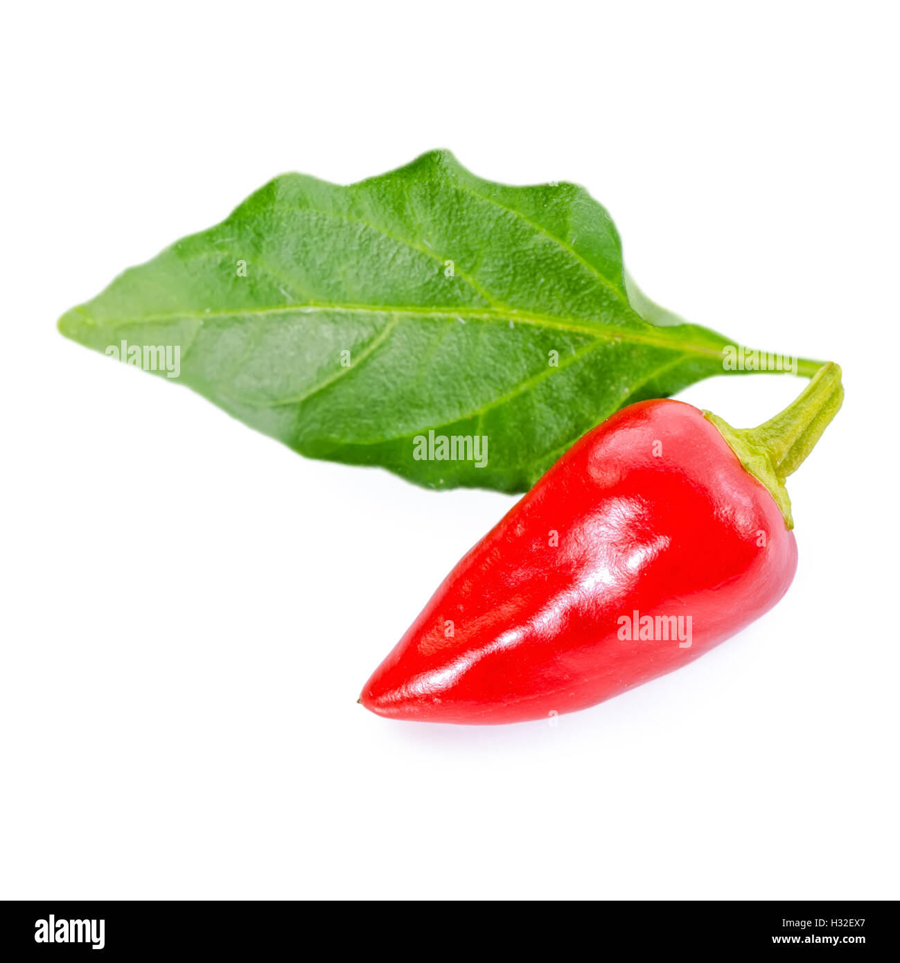 Chili decorative pepper hi-res stock photography and images - Alamy