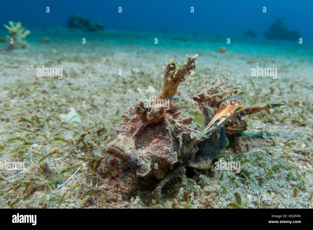 Devil Walkman High Resolution Stock Photography and Images - Alamy