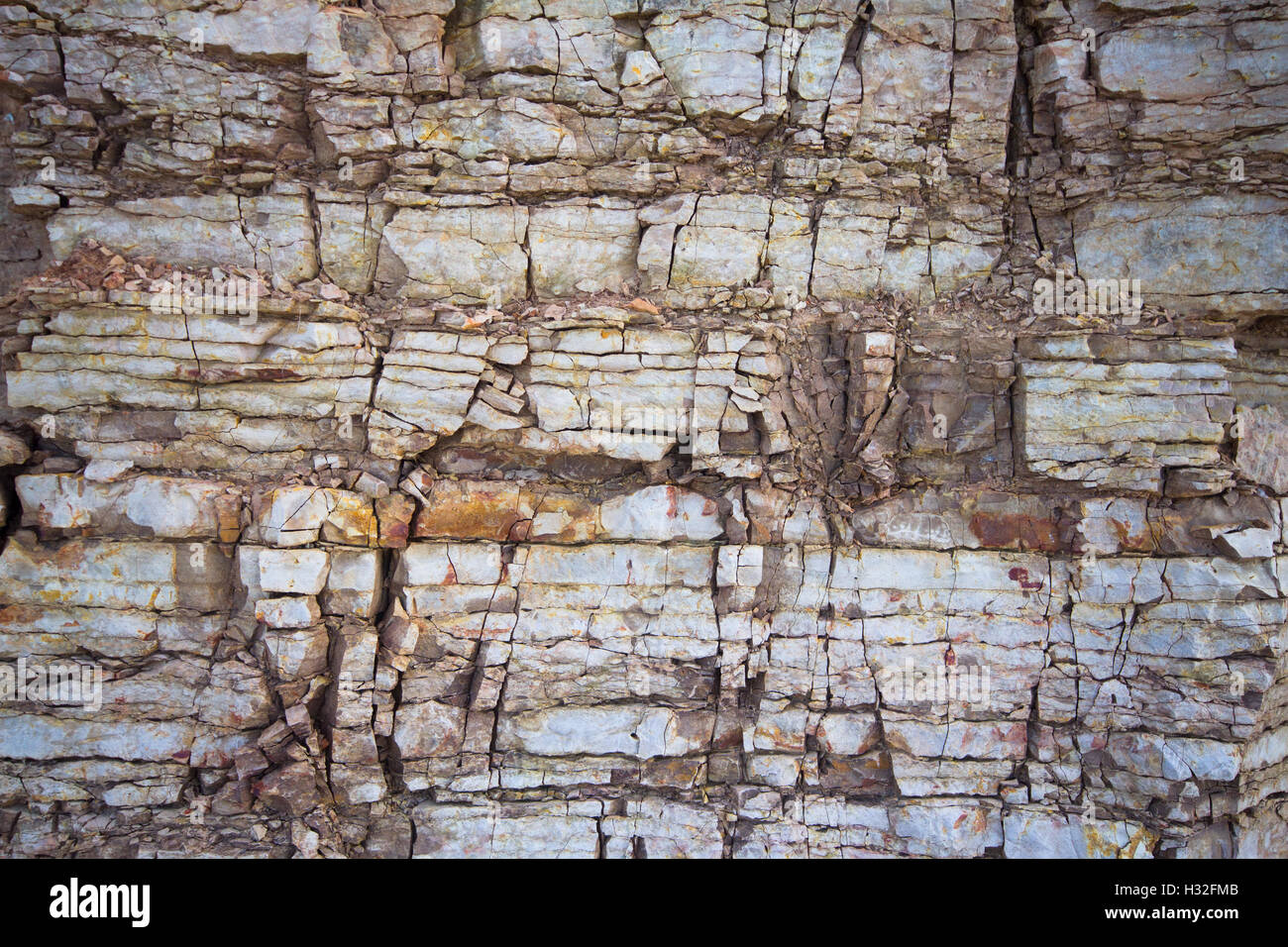 surface of a Devonian calcareous platform Stock Photo - Alamy