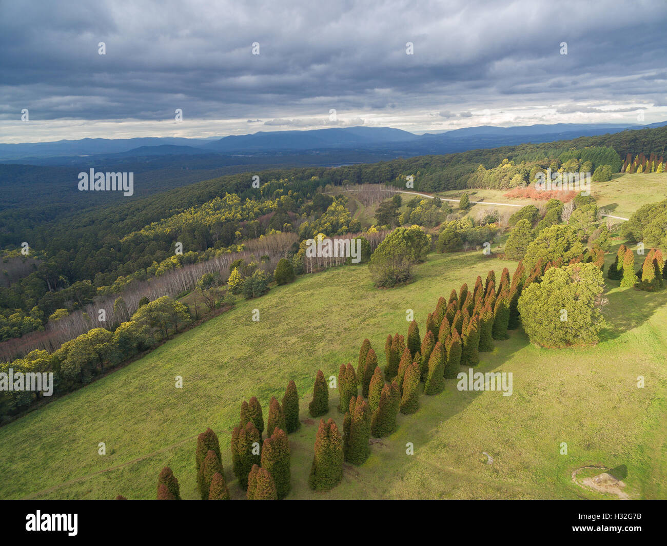 Dandenong ranges hi-res stock photography and images - Alamy