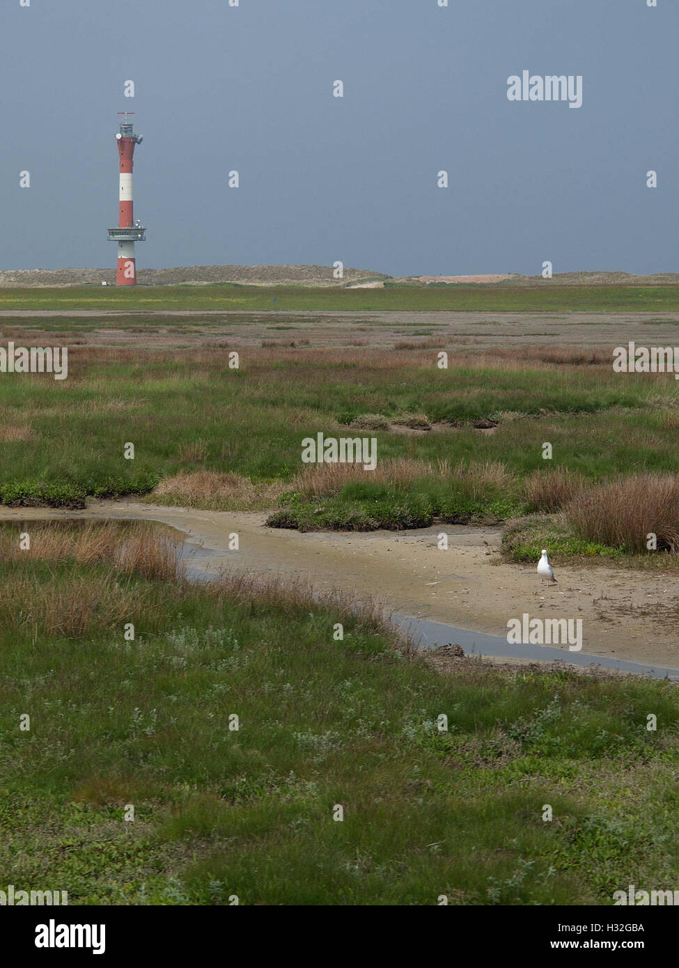 the german island of wangerooge Stock Photo - Alamy