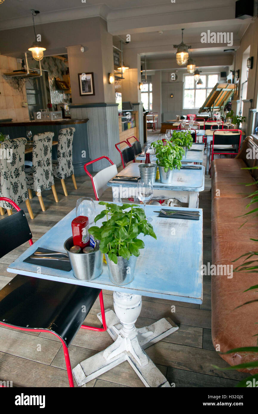 The Architect a public house and restaurant in Cambridge, UK Stock ...