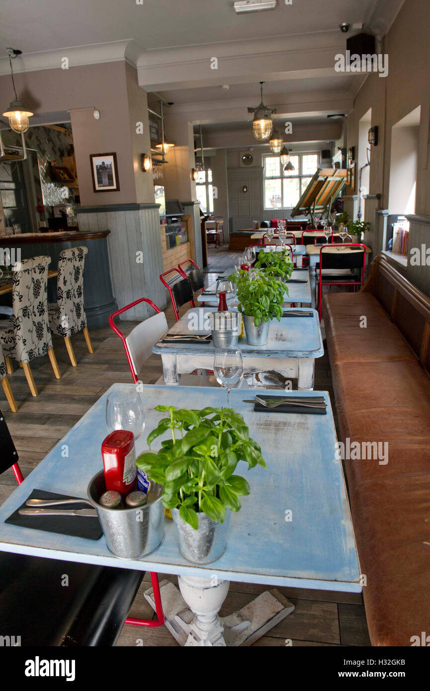 The Architect a public house and restaurant in Cambridge, UK Stock ...