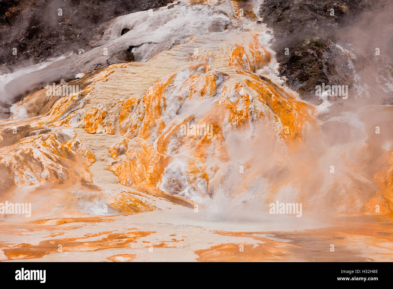 Volcanic hot water well Orakei Korako New Zealand Stock Photo - Alamy
