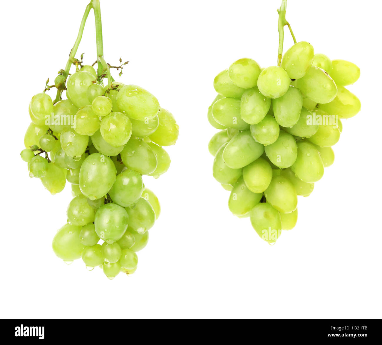 Grape harvest concept bunch Cut Out Stock Images & Pictures - Alamy