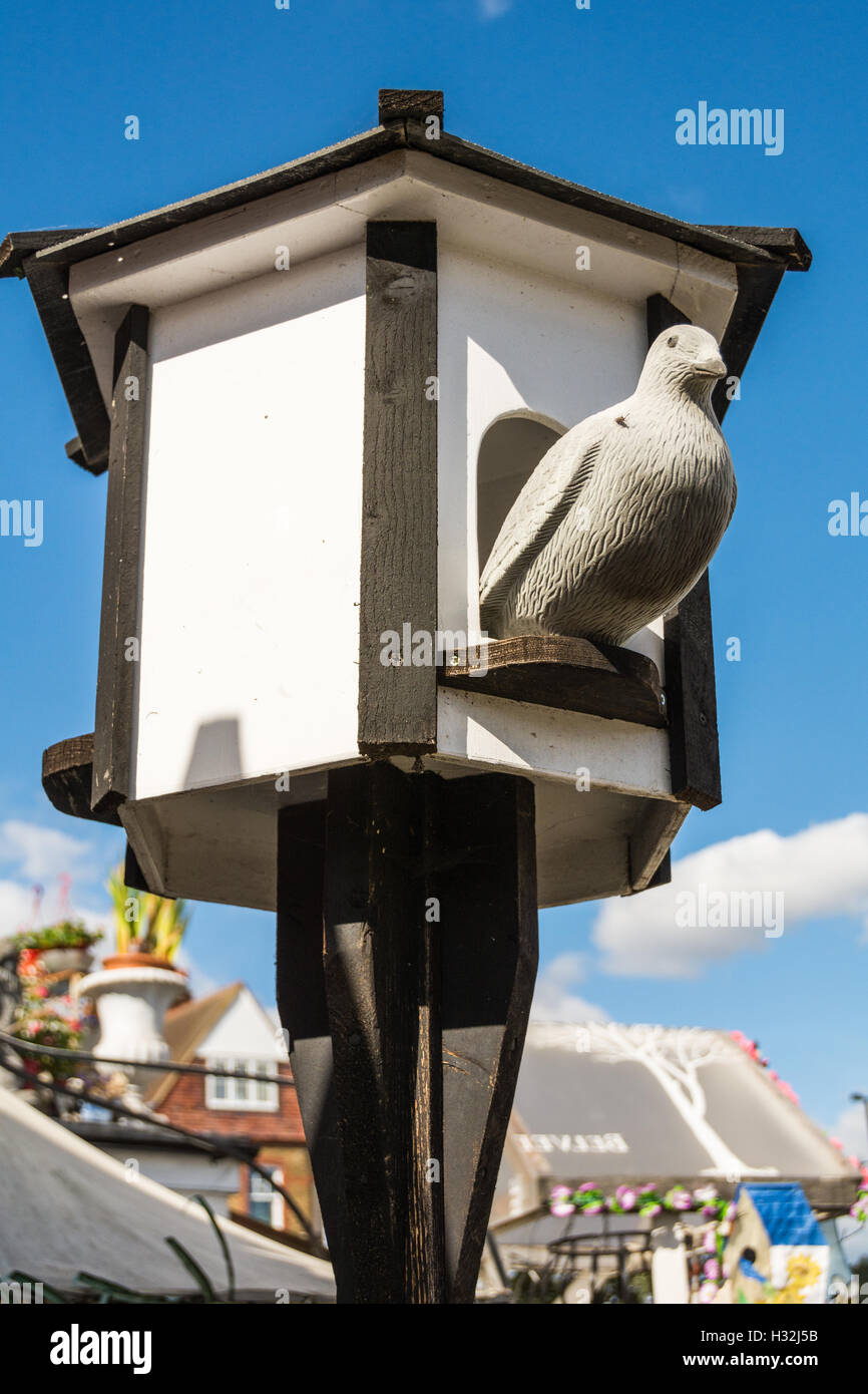 Homing pigeon hi-res stock photography and images - Alamy