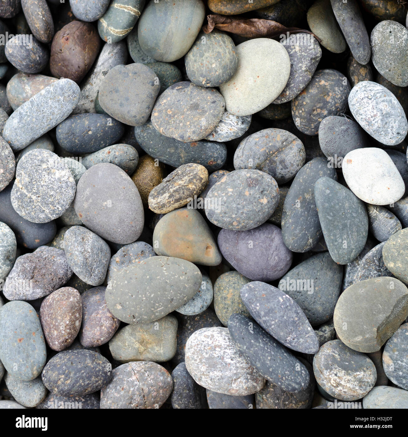 Asteroid texture hi-res stock photography and images - Alamy