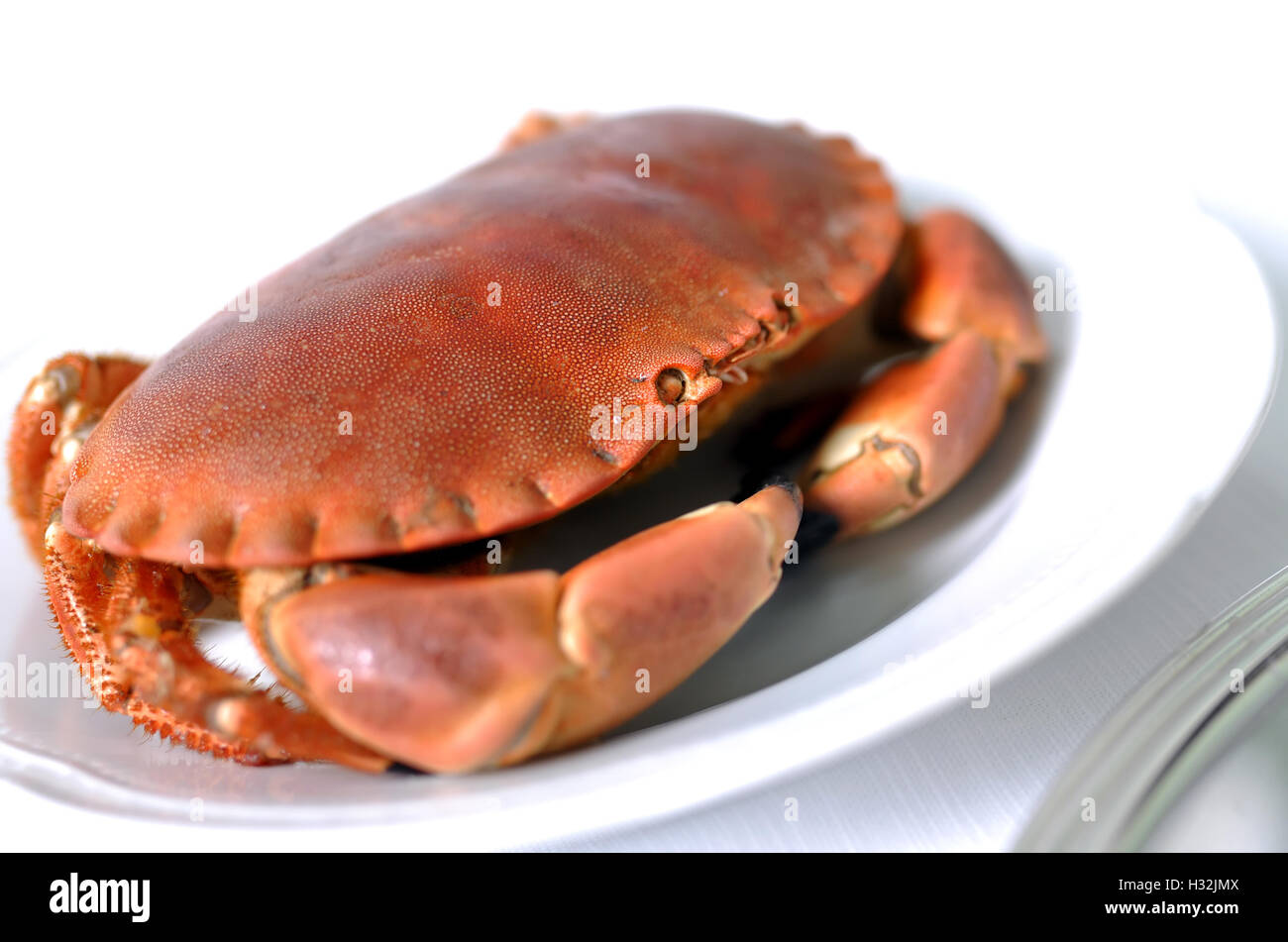 Cooked crabs hi-res stock photography and images - Alamy