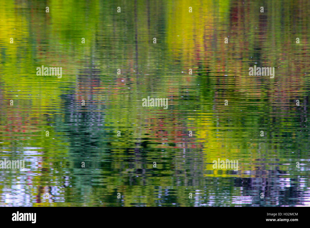 Diverse colors of nature hi-res stock photography and images - Alamy