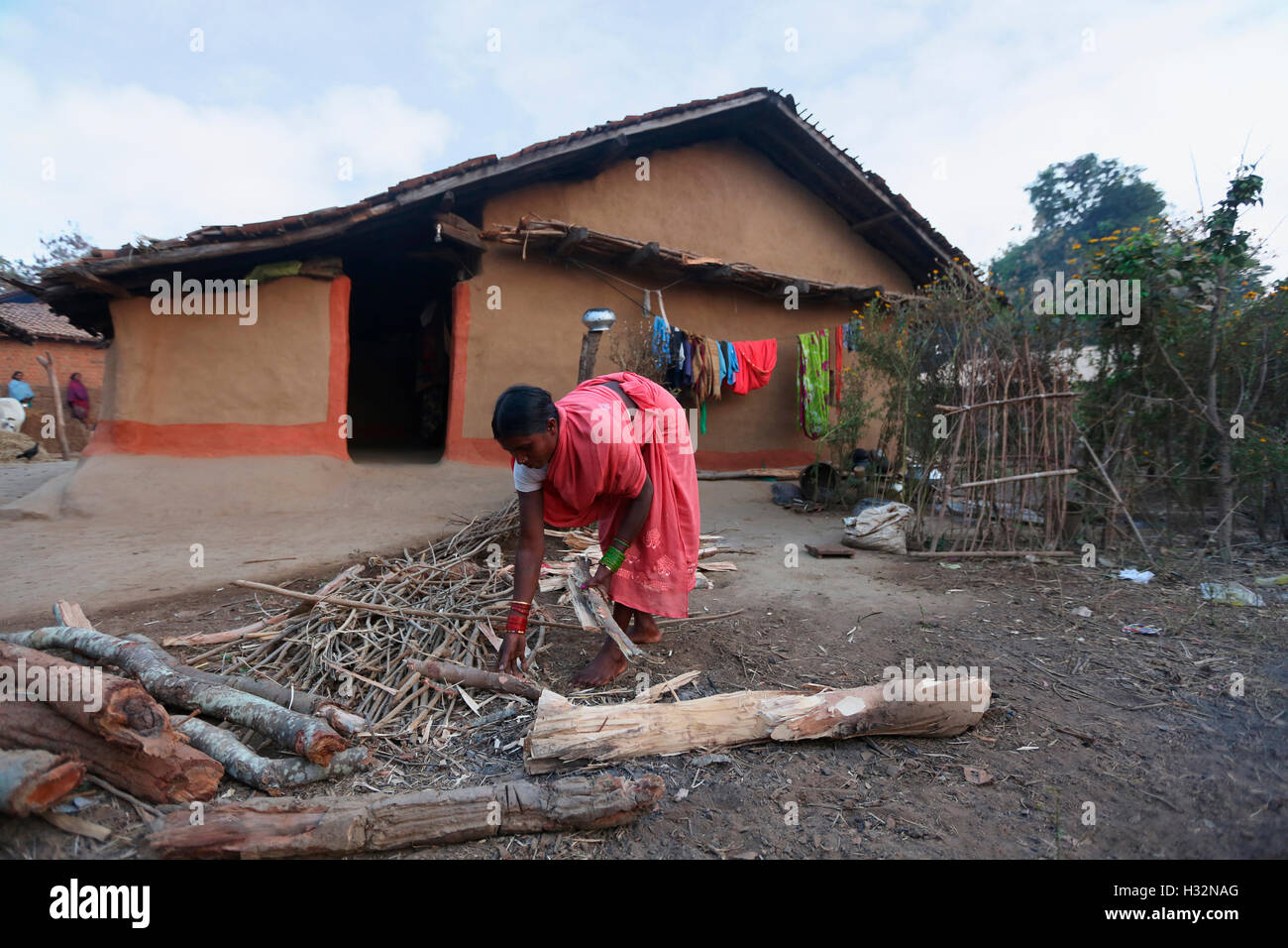 Collecting firewood hi-res stock photography and images - Alamy