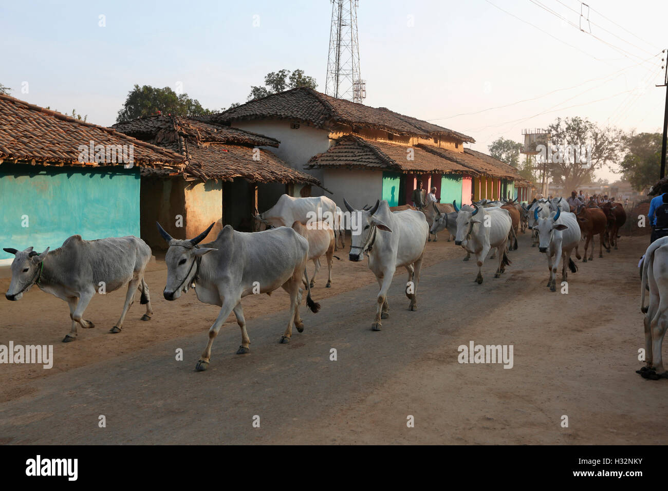 Pindakepar hi-res stock photography and images - Alamy