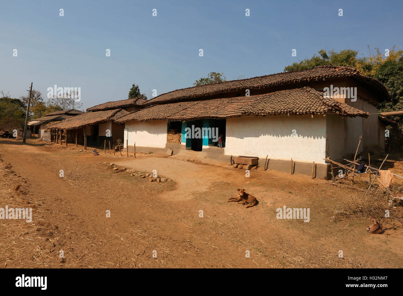 Tribal village, KAWAR TRIBE, Pindakepar Village, Chattisgarh, India ...