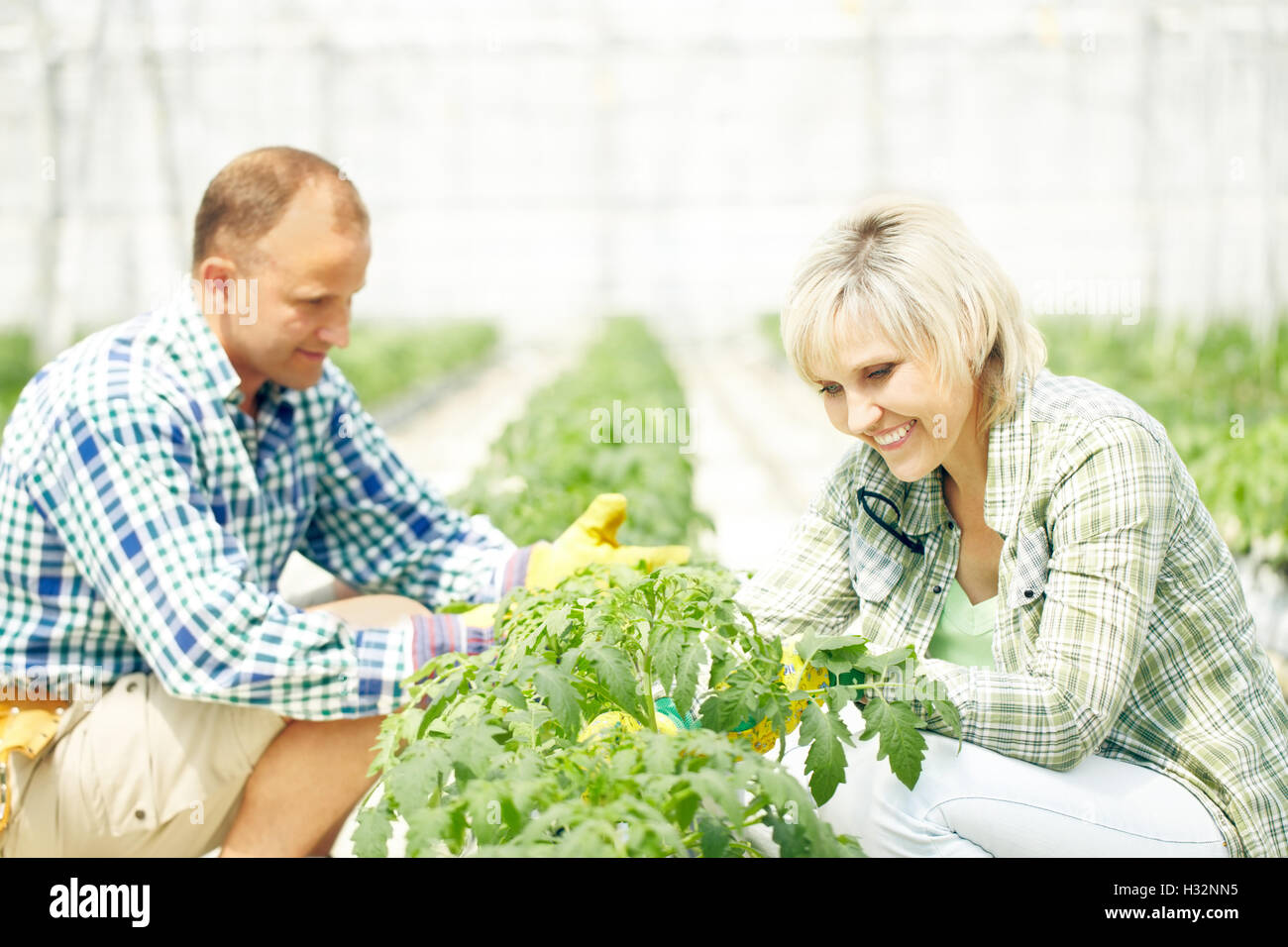 Working in garden Stock Photo - Alamy