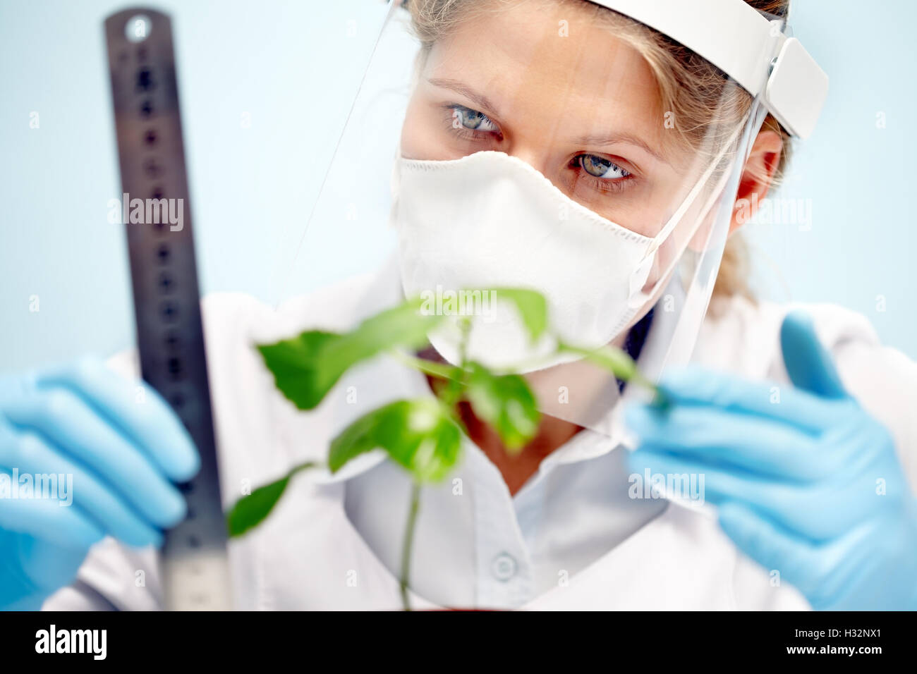 Botany hi-res stock photography and images - Alamy