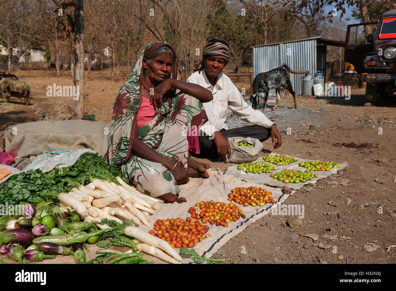 Vegetable vendor, KORKU TRIBE, Dharani Market, Maharashtra, India Stock ...