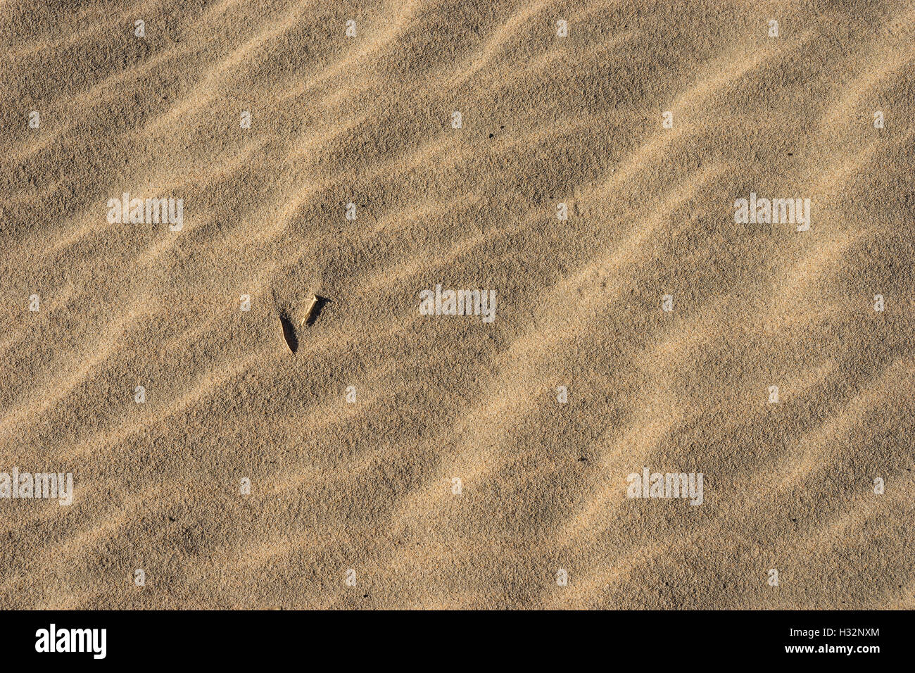 Two small sticks lie on wavy lines of sand patterns Stock Photo - Alamy