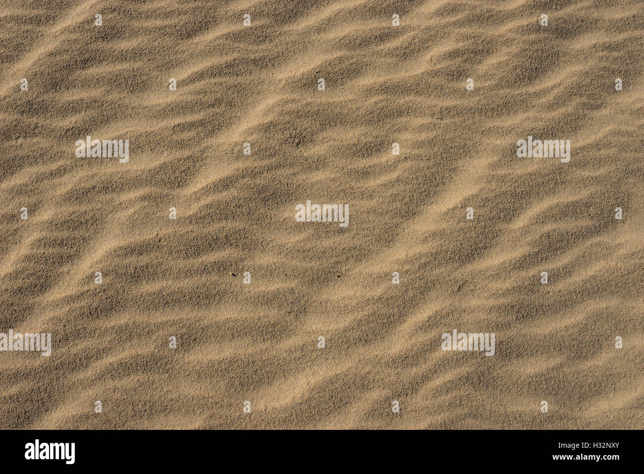 Wavy lines of sand grains piled on each other in southern California ...