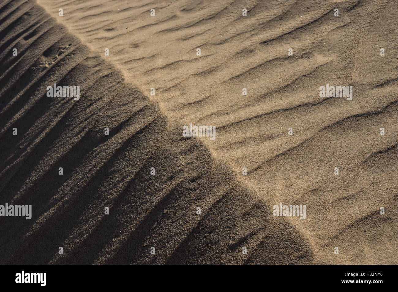 Ridge of sand formed in the Mojave desert by the wind Stock Photo - Alamy