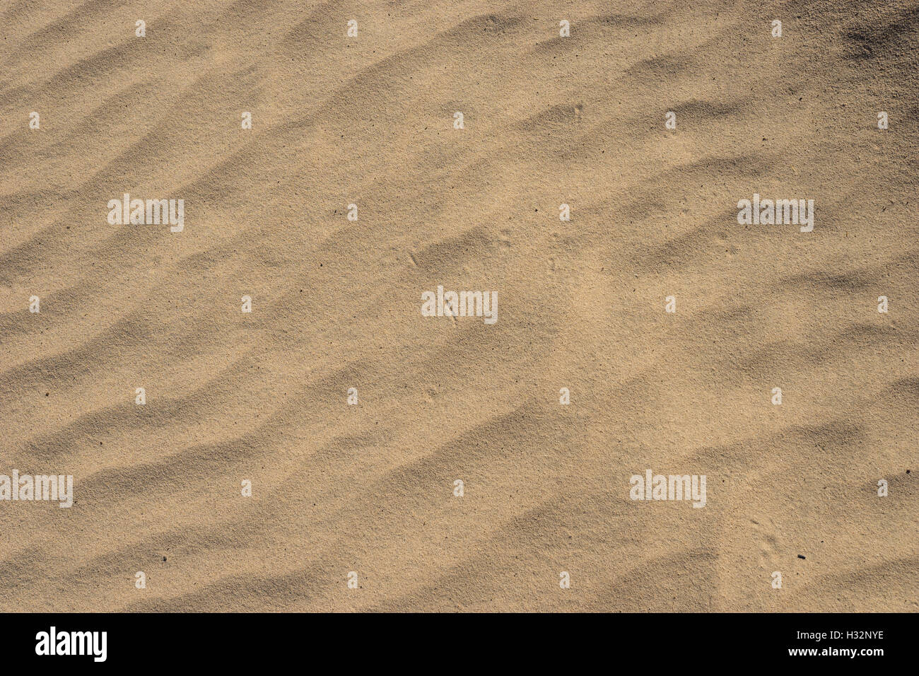 Small ridges of desert sand in the Mojave Desert of southern California ...