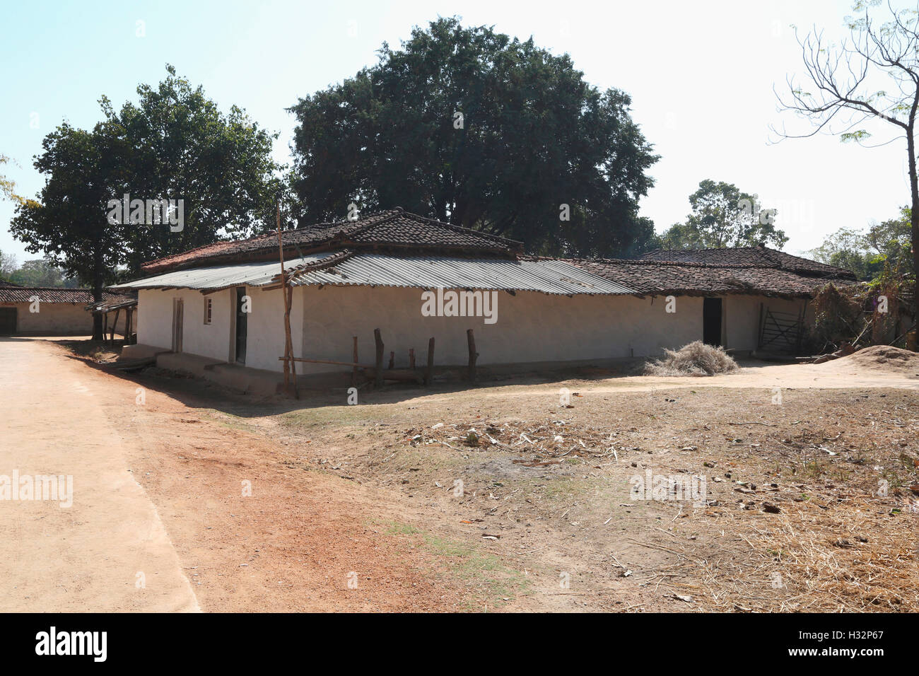 Tribal village, NAGESIA TRIBE, Lamgoan Village, Tahasil Lundra ...