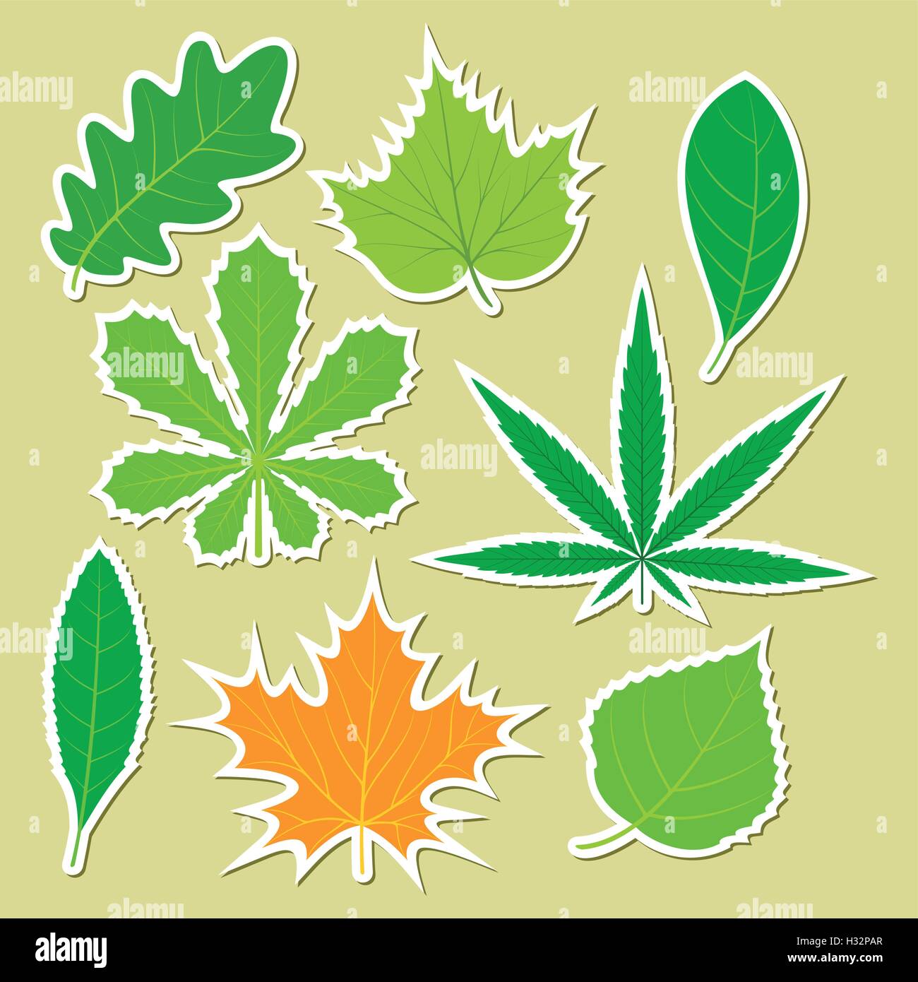 Set different vector coffee Stock Vector Images - Alamy