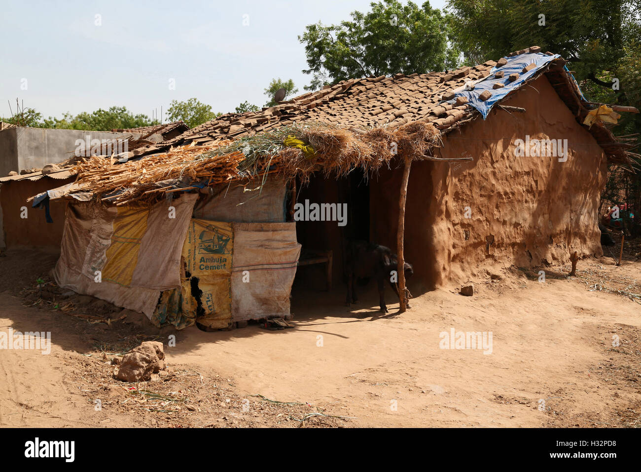 Tribal house, PATELIA TRIBE, Jamana Muvada Village, Lunawada Taluka ...