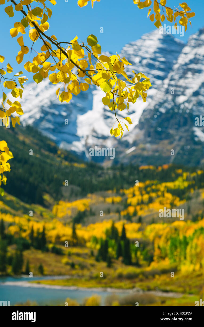 Best of Aspen Stock Photo - Alamy