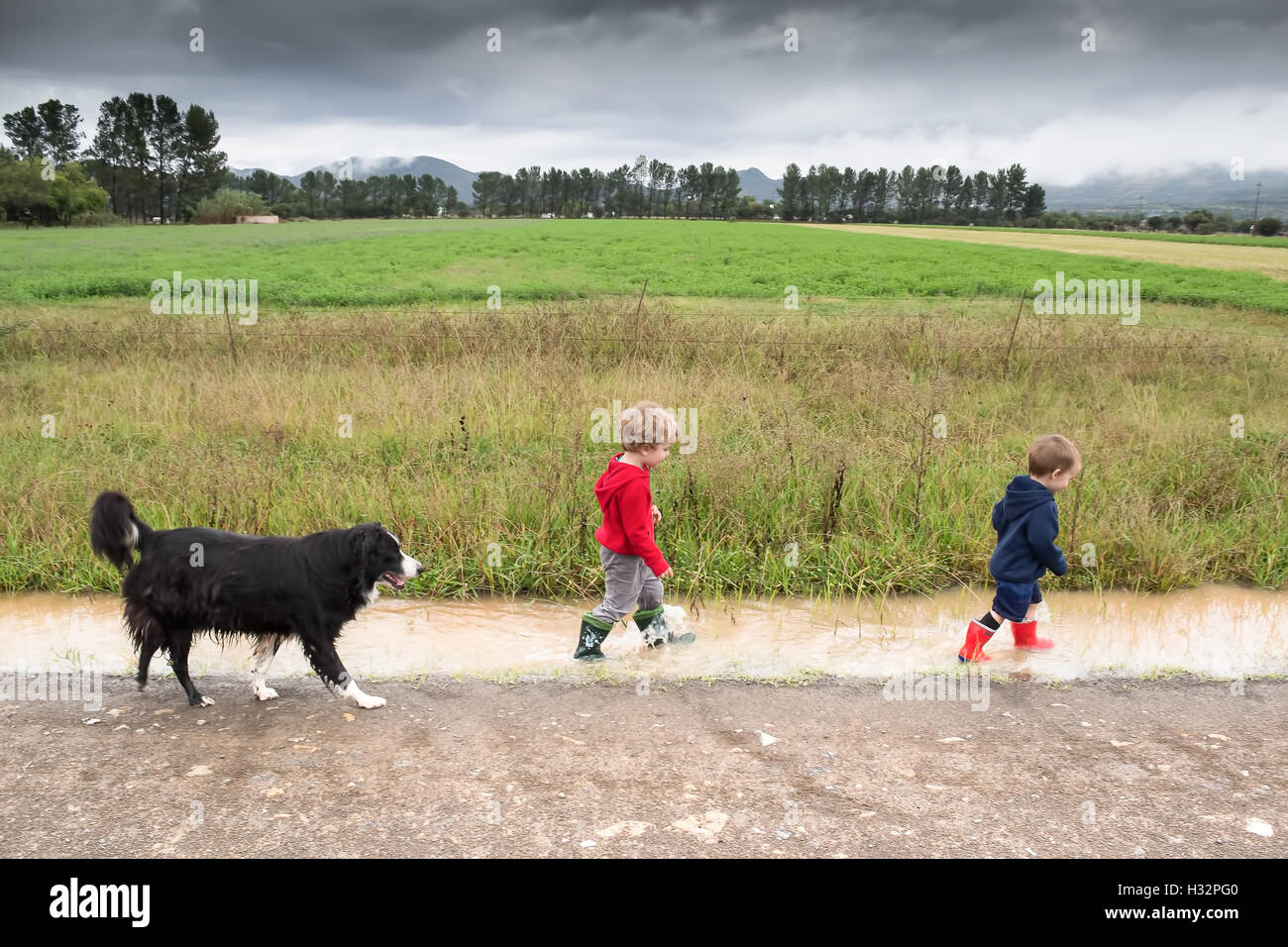 Puddle trench hi-res stock photography and images - Alamy