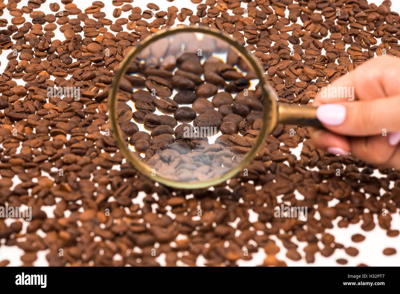 Female hand keepig magnifying glass over the coffee beans Stock Photo ...