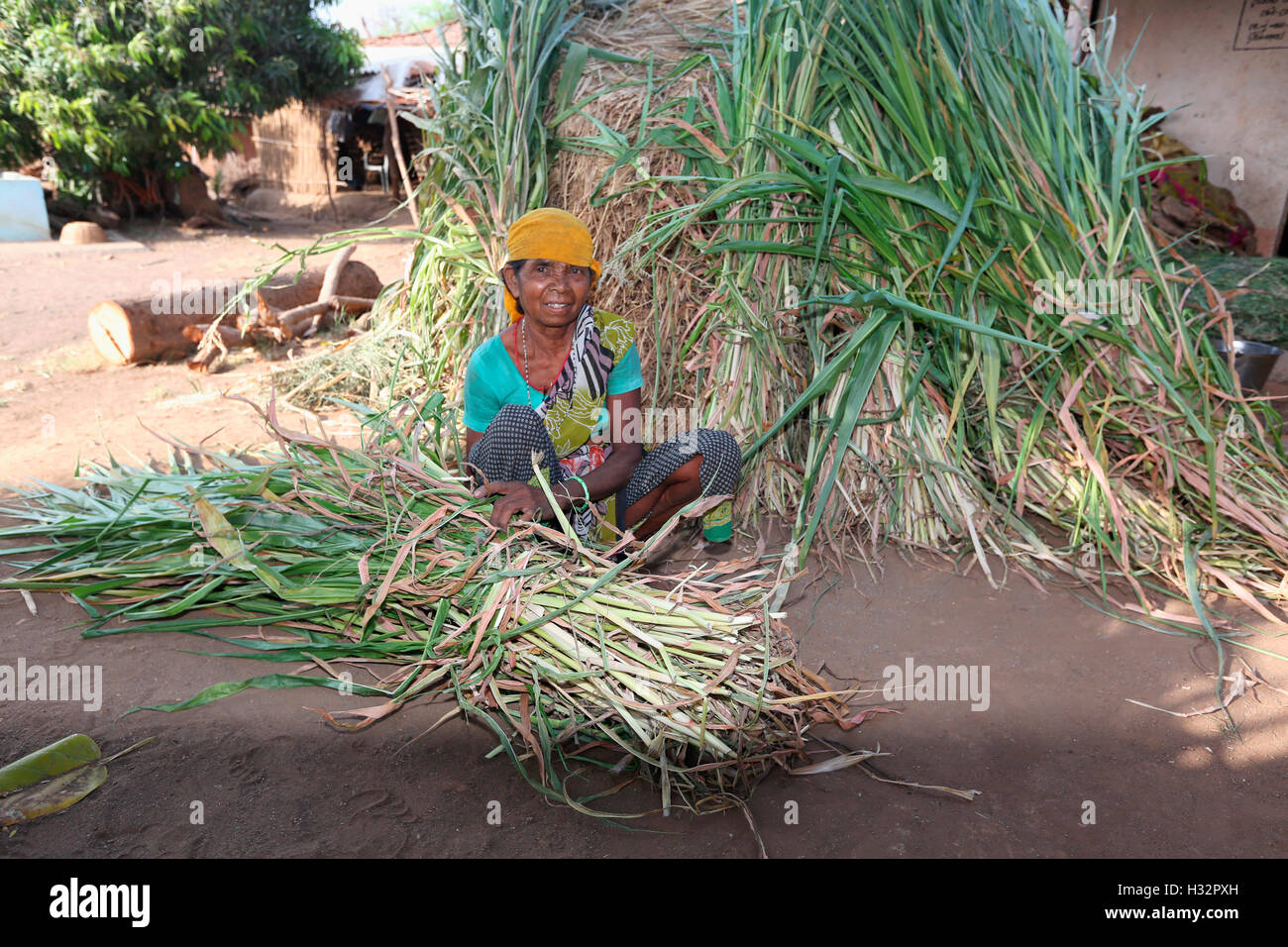 Tapi district tribe hi-res stock photography and images - Alamy