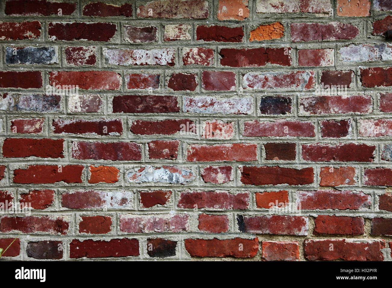 Bricks wall in Normandy fullscreen Stock Photo - Alamy
