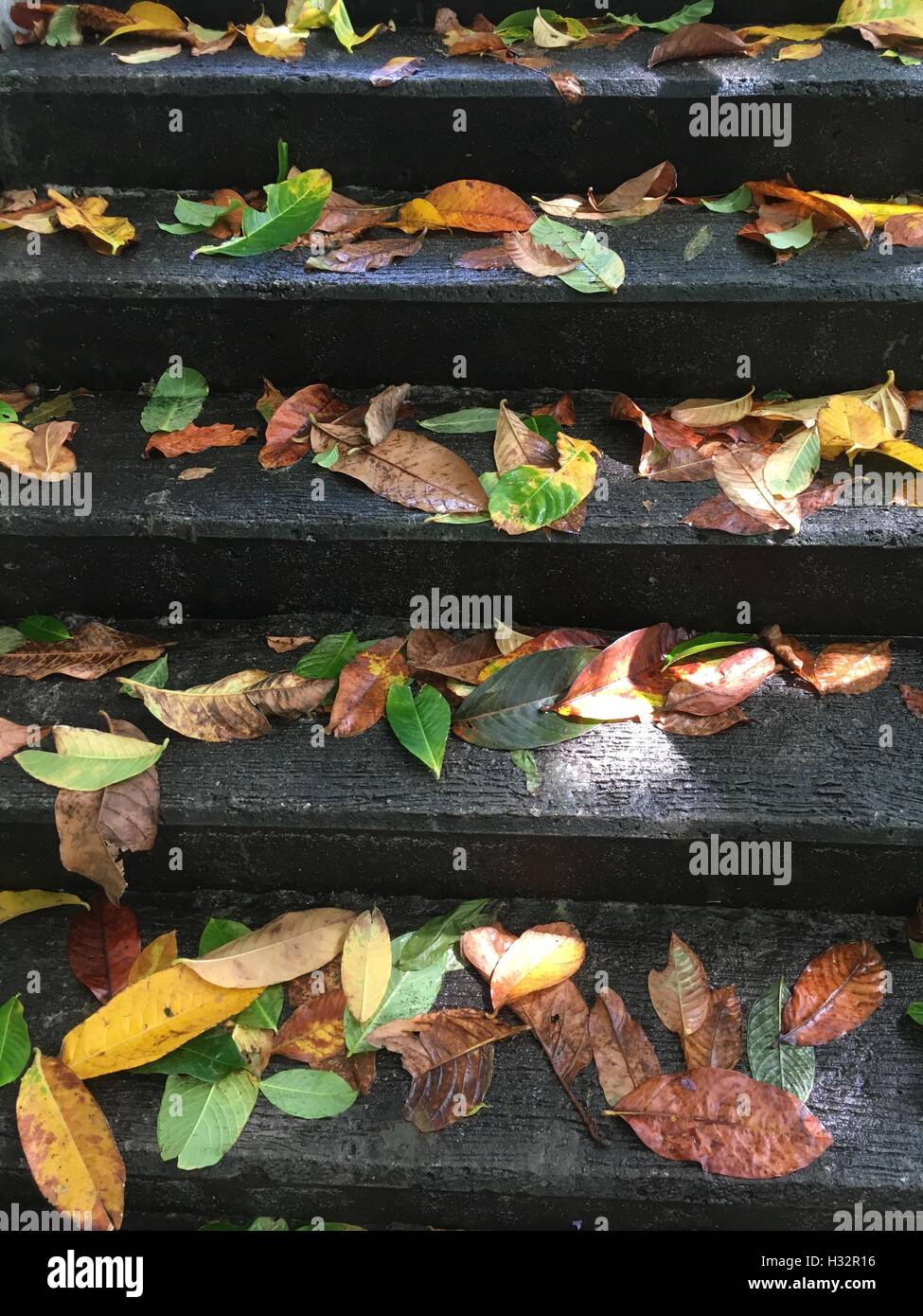 Outdoor Stairs with dead leaves on the steps Stock Photo - Alamy